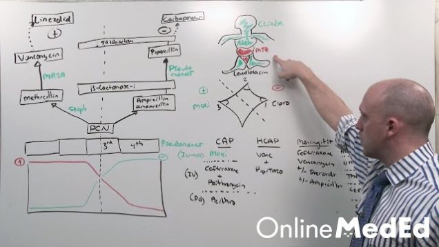 Microbiology Archives - Free Medical Videos