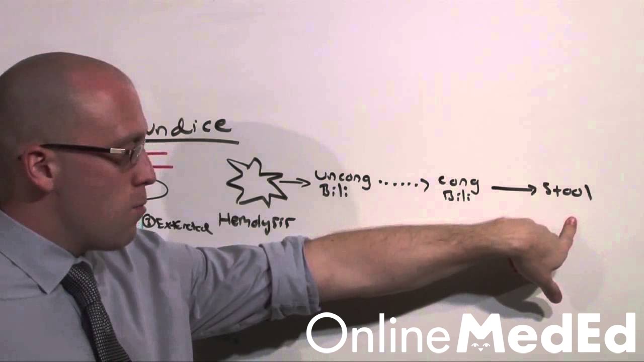 Lab Results, Values, And Interpretation (CBC, BMP, CMP, LFT)